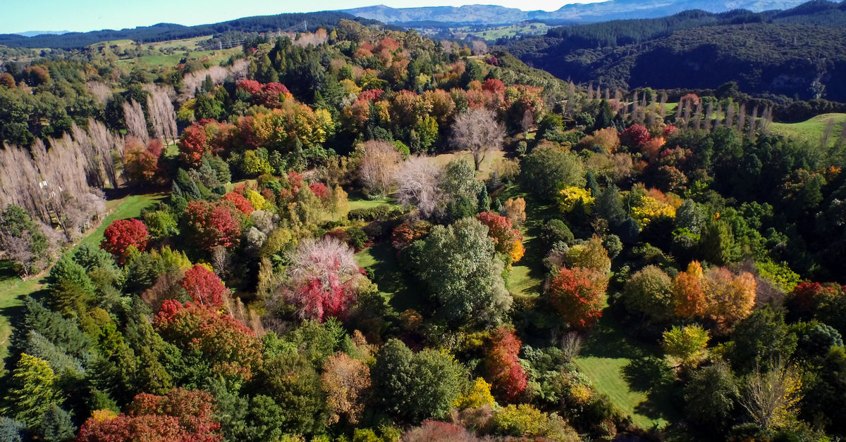 582 Old Coach Road, Te Pohue, Hastings | NZ Sotheby’s Realty | HBNP0116