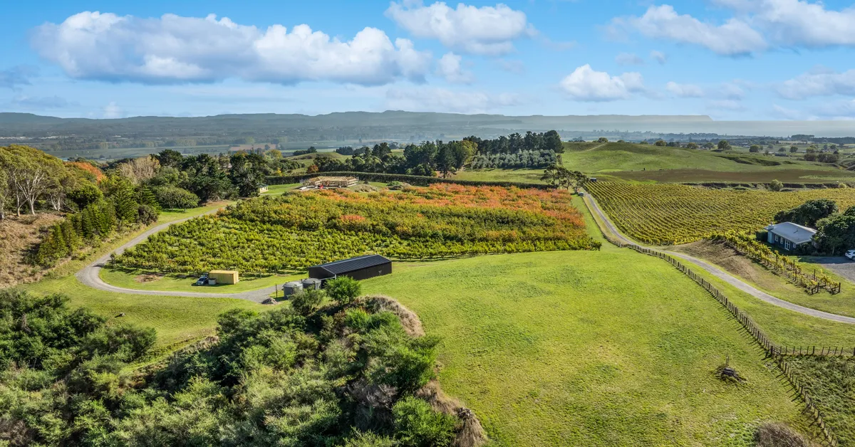 86 Millar Road, Haumoana, Hastings | NZ Sotheby’s Realty | HBNP1253