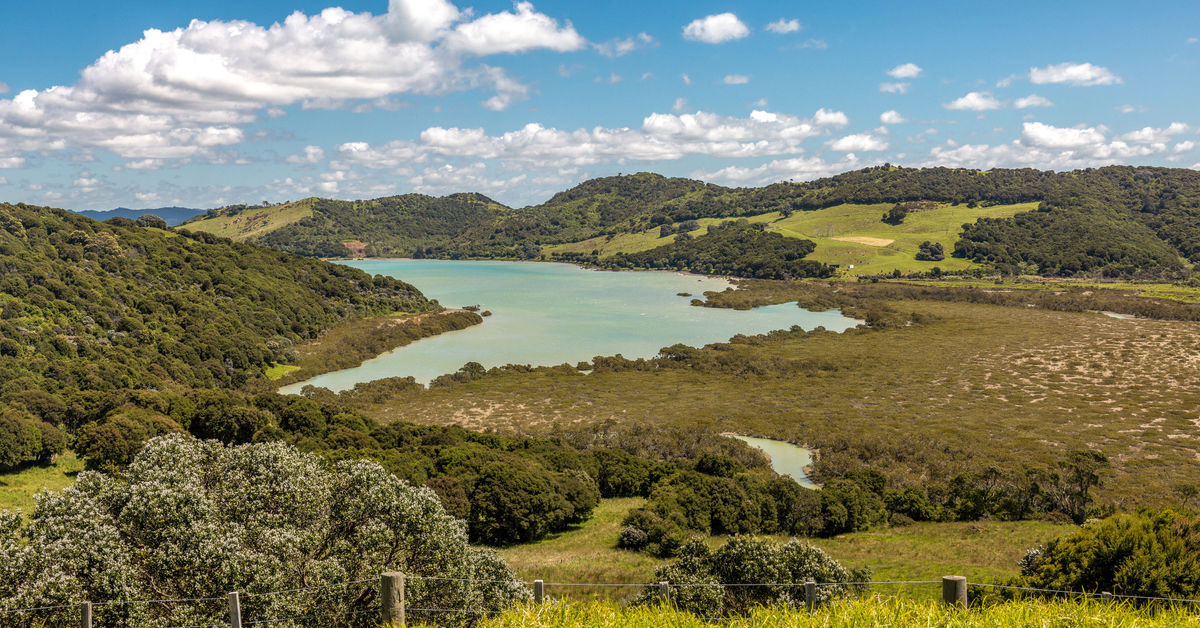 523 Orapiu Road, Orapiu, Waiheke Island | NZ Sotheby’s Realty | WAG10573