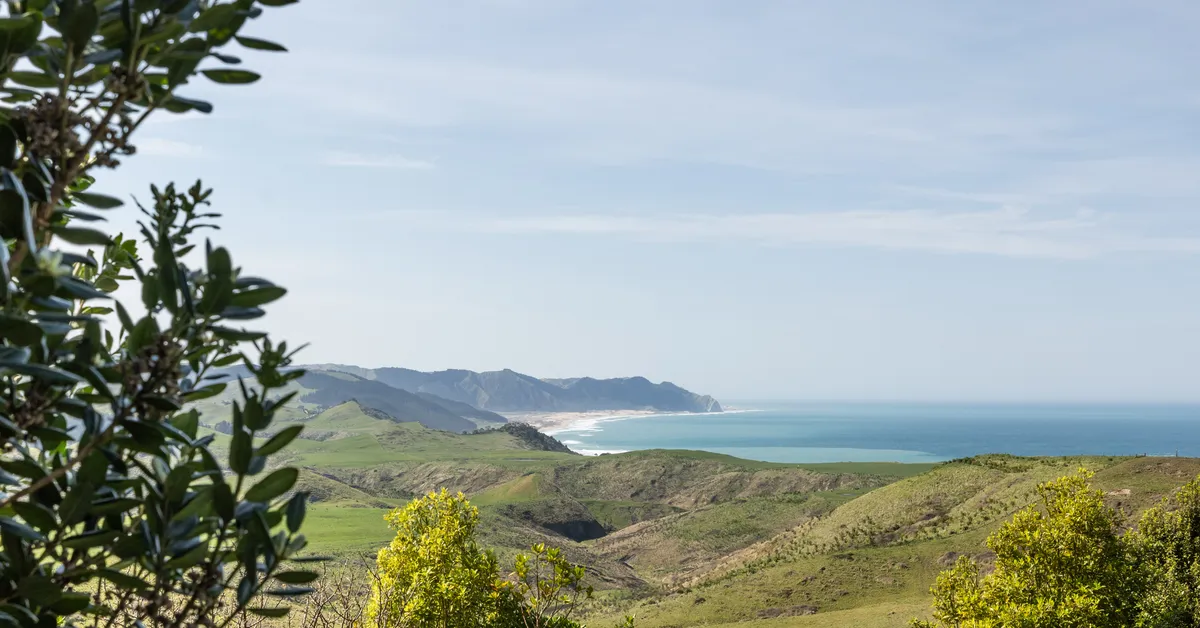 64 Waipuka Road, Havelock North, Hastings | NZ Sotheby’s Realty | HBHN12090